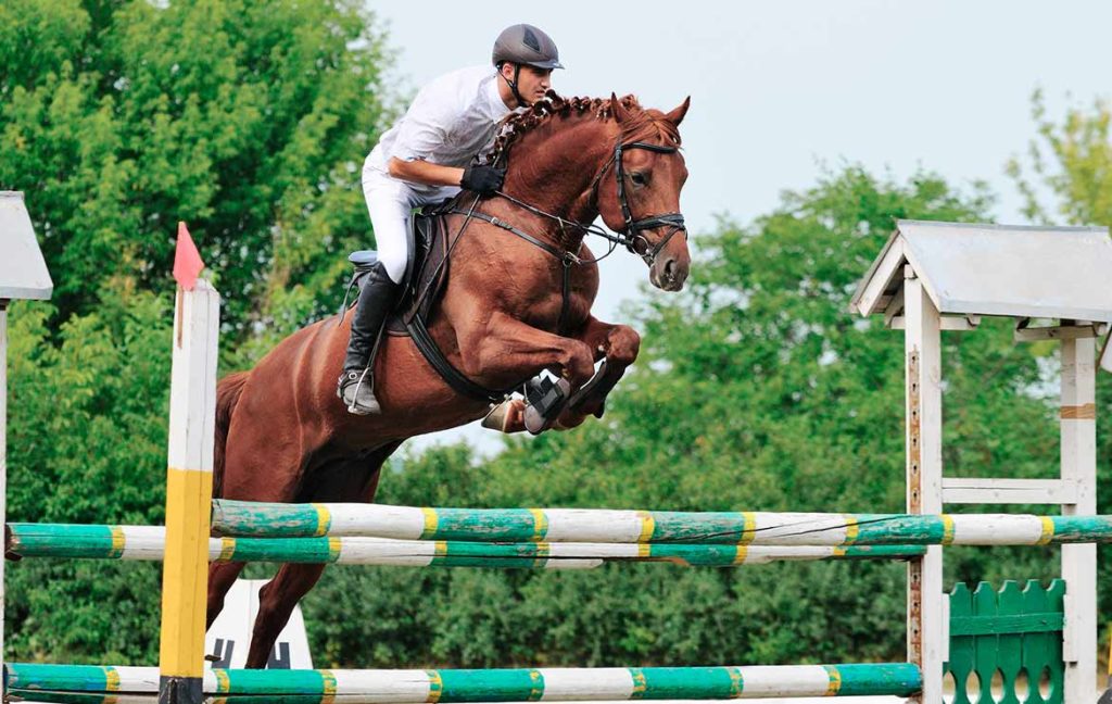 ¿Cuáles son los beneficios de la equitación? - Ciencias Deportivas